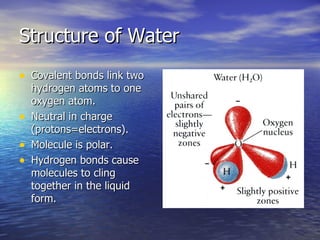 Water, Hydrogen Bonds, and the Hydrologic Cycle | PPT