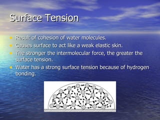 Water, Hydrogen Bonds, and the Hydrologic Cycle | PPT