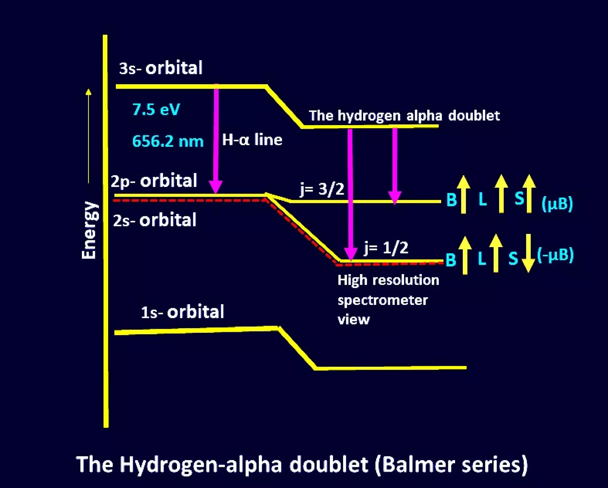 The hydrogen alpha fine structures | PDF