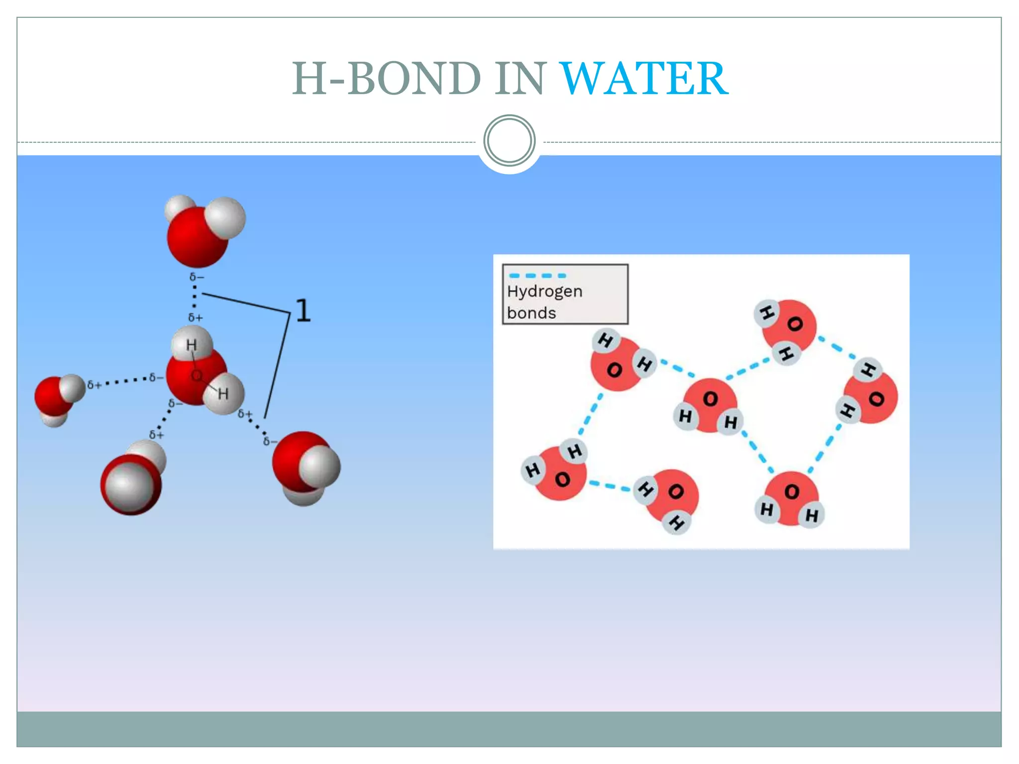 HYDROGEN BOND .pptx | Chemistry | Science