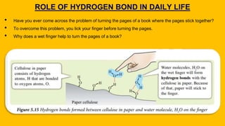 Hydrogen bond, Dative bond & Metallic bond | PPT