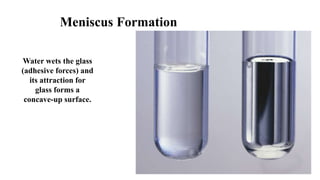 Hydrogen bonding in life, 12(2) | PPTX | Chemistry | Science