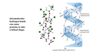 Hydrogen bonding in life, 12(2) | PPTX