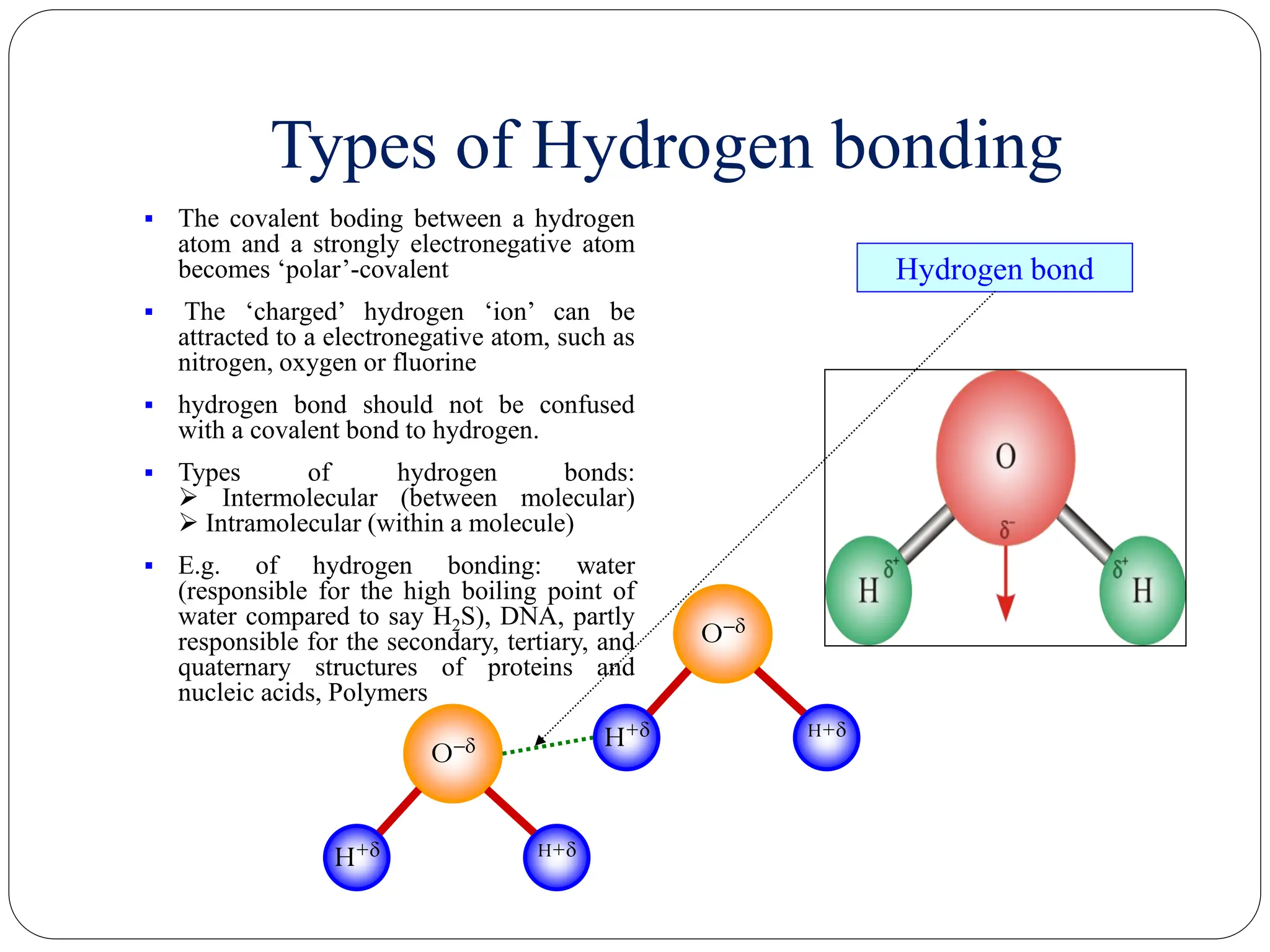 Hydrogen bond, importance and consequences PPT | PDF