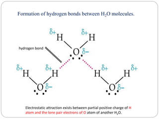 Hydrogen bond, importance and consequences PPT | PDF