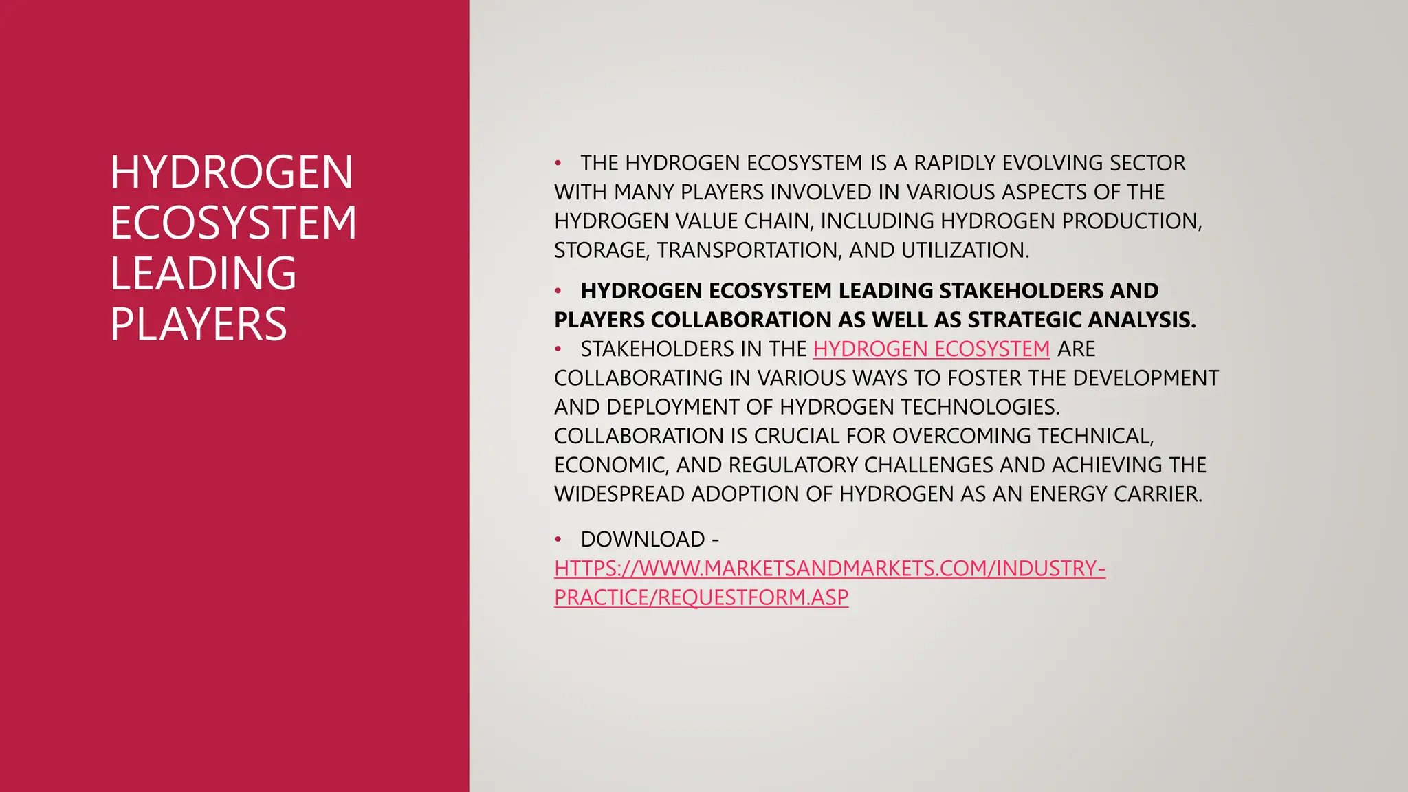 Hydrogen Ecosystem Leading Players.pptx