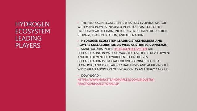 Hydrogen Ecosystem Leading Players.pptx