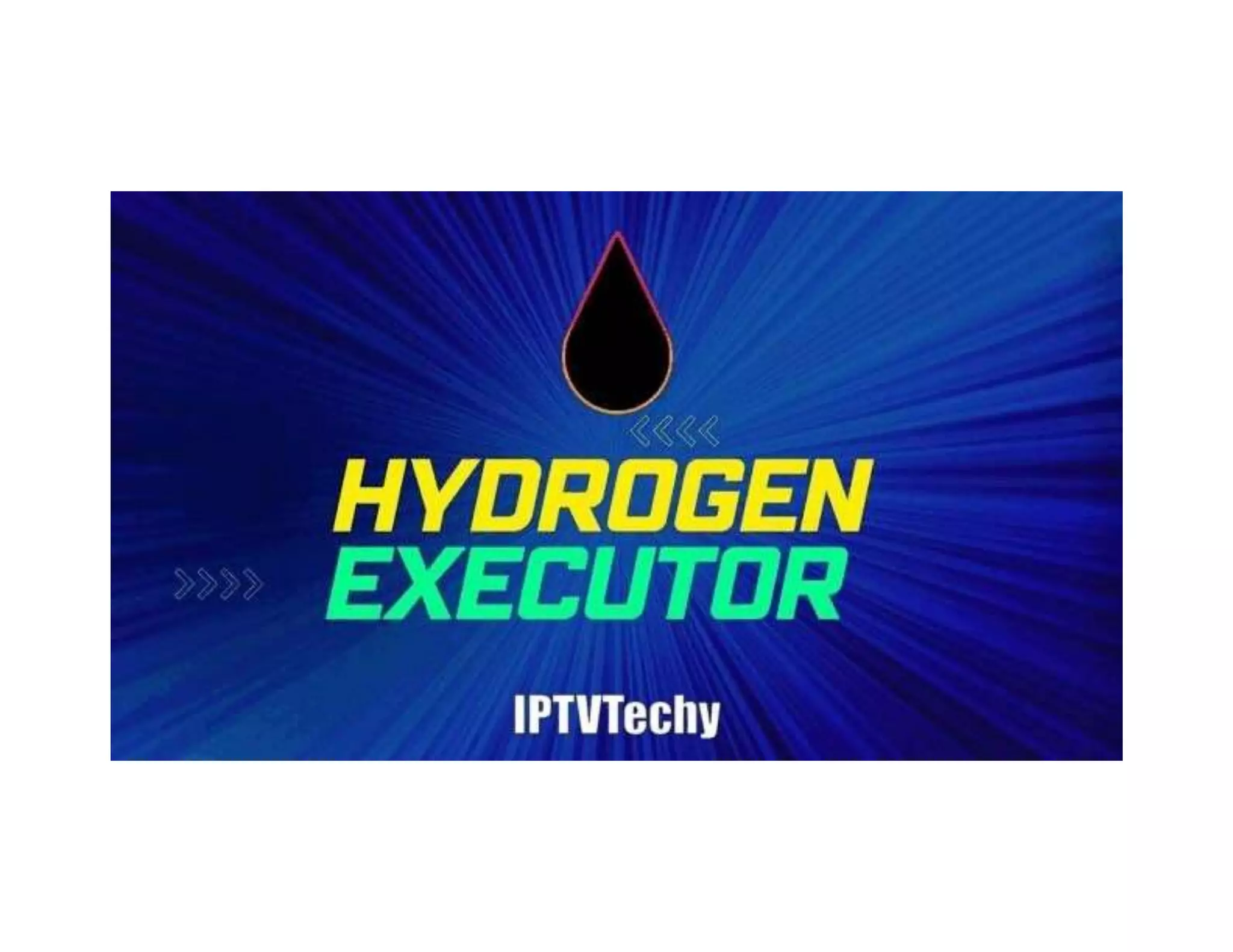 Hydrogen Executor.ppt