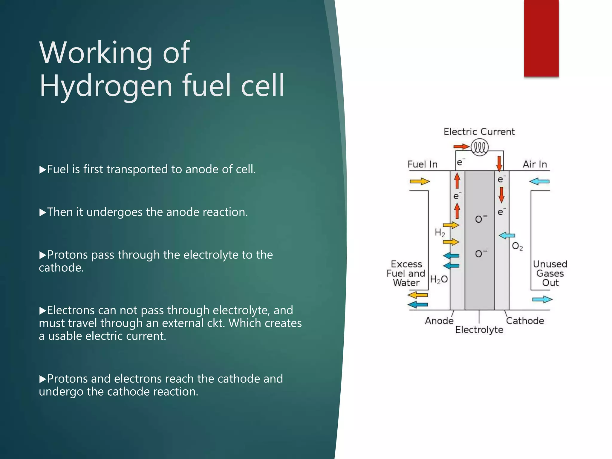Hydrogen Fuel Cell (Report Presentation) | PPT