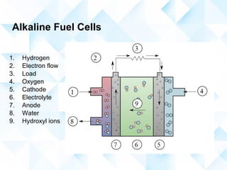 Hydrogen fuel cells | PPT