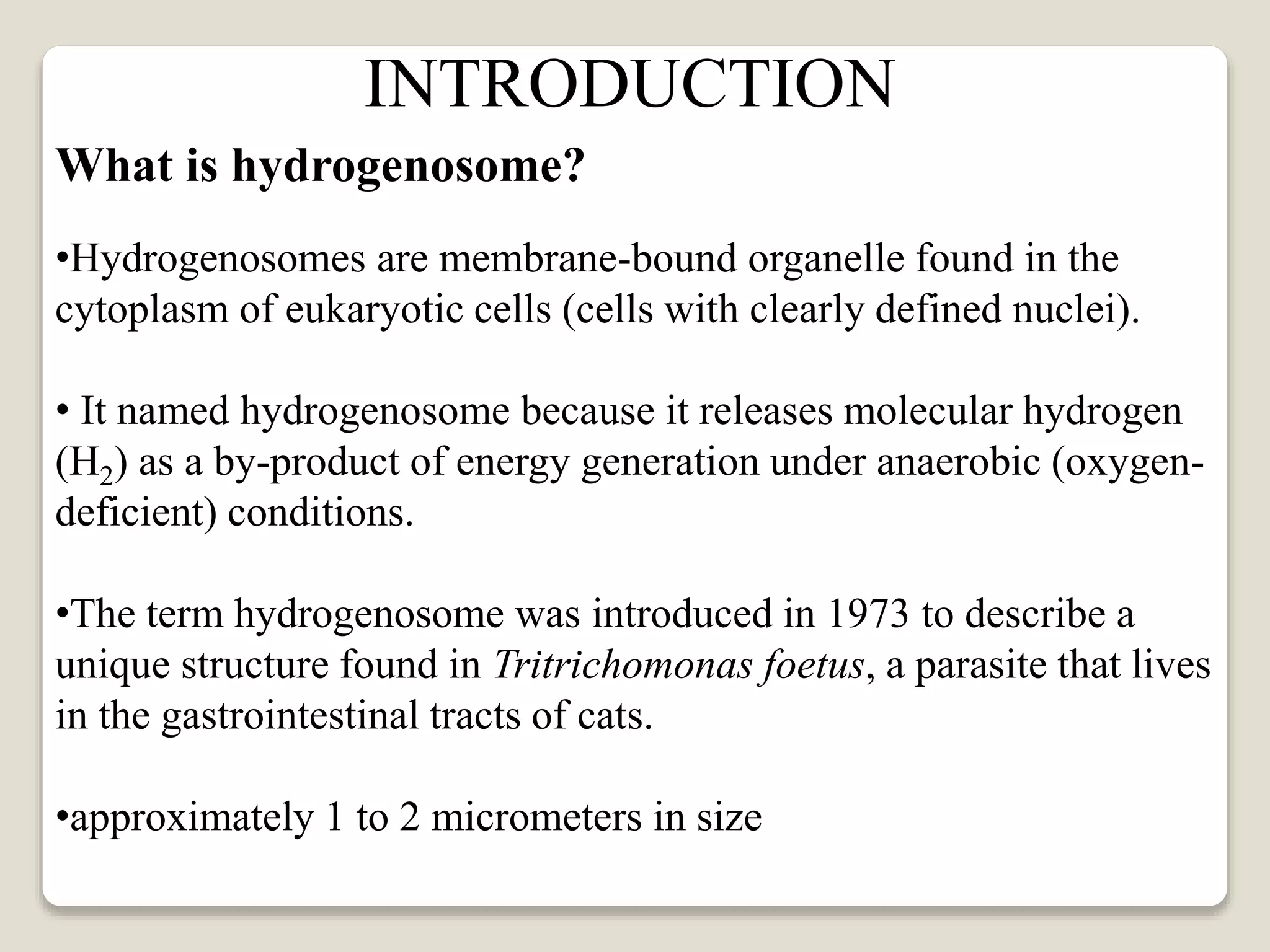 Hydrogenosome in fungi | PPTX | Biological Sciences | Science