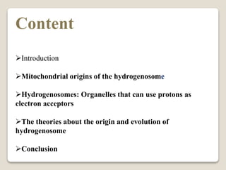 Hydrogenosome in fungi | PPTX