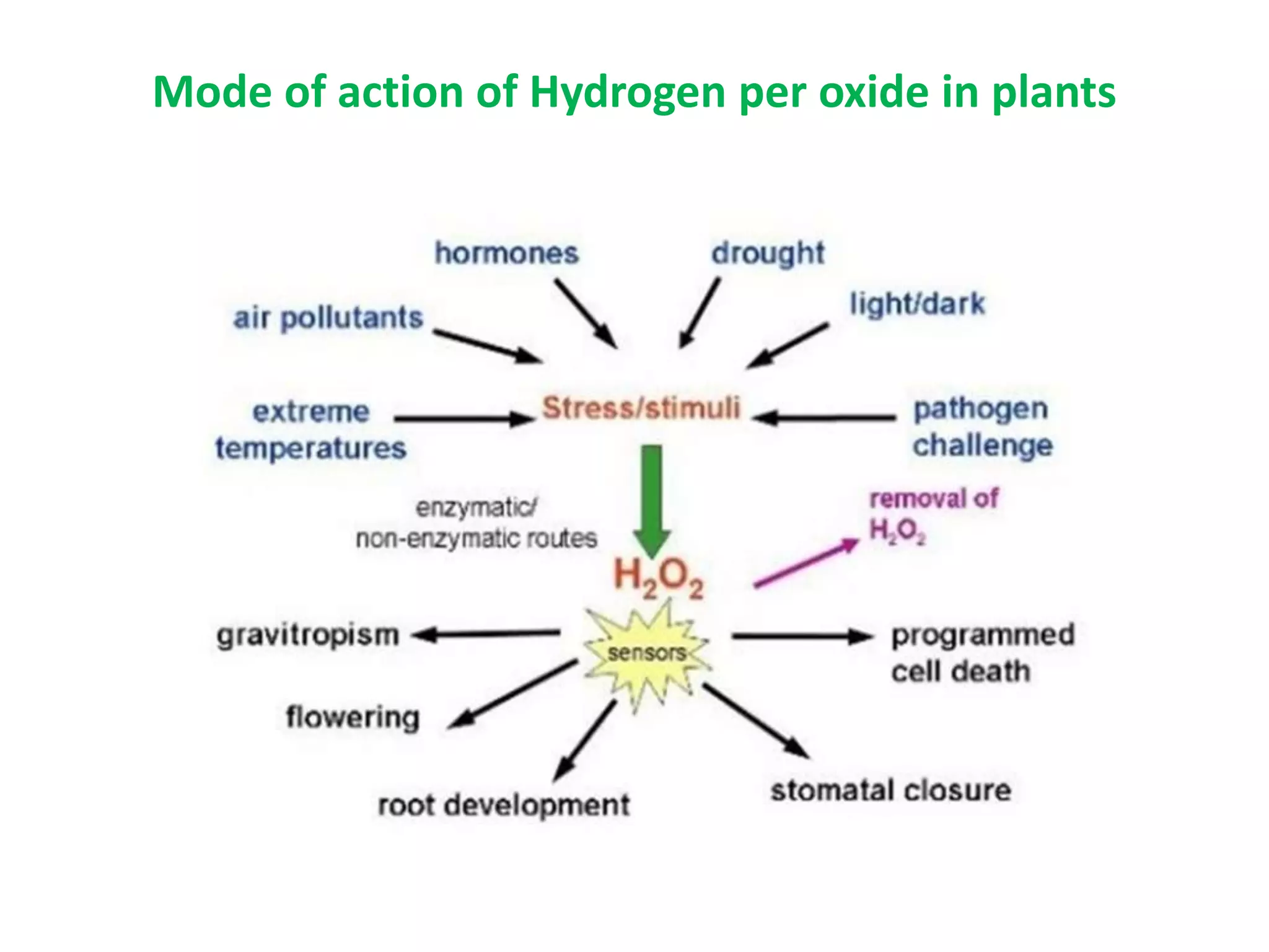 Hydrogen per oxide signaling in plants | PPT