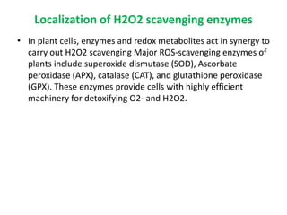 Hydrogen per oxide signaling in plants | PPT