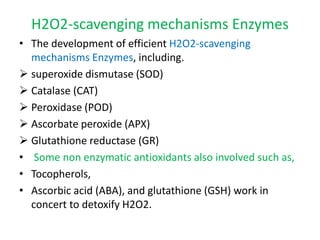 Hydrogen per oxide signaling in plants | PPT