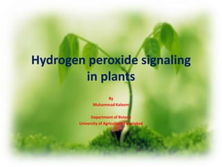Hydrogen per oxide signaling in plants | PPT
