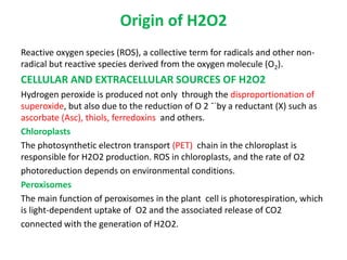 Hydrogen per oxide signaling in plants | PPT