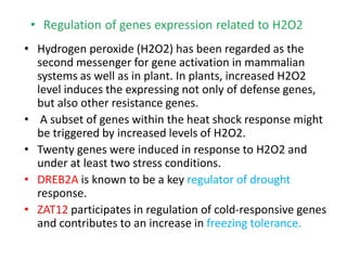 Hydrogen per oxide signaling in plants | PPT