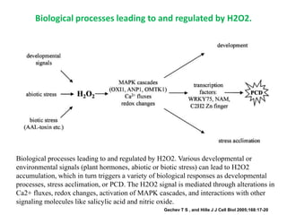 Hydrogen per oxide signaling in plants | PPT