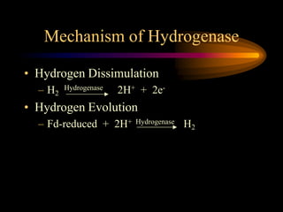 Hydrogen Production.ppt