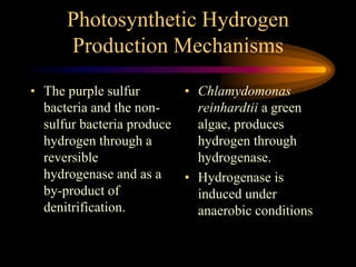 Hydrogen Production.ppt
