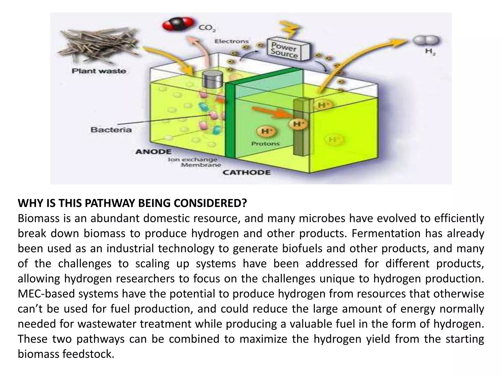 Hydrogen production by microbes | PPTX