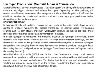 Hydrogen production by microbes | PPTX