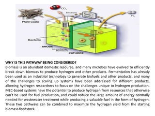 Hydrogen production by microbes | PPTX