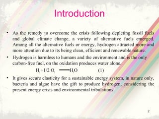 Hydrogen project | PPT