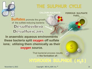 Hydrogen sulphide and the sulphur cycle | PPTX