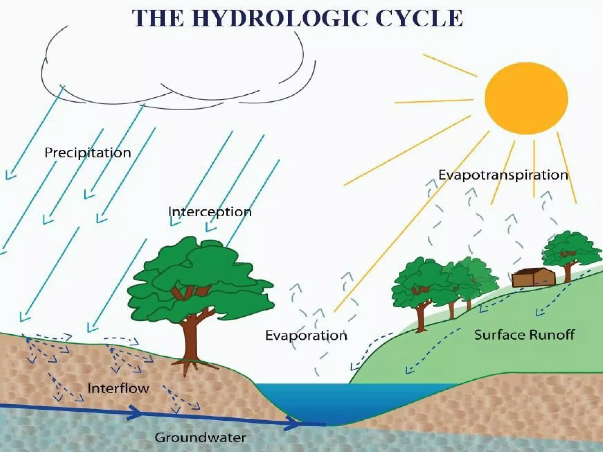 Hydrologic cycle and field water balance | PPT