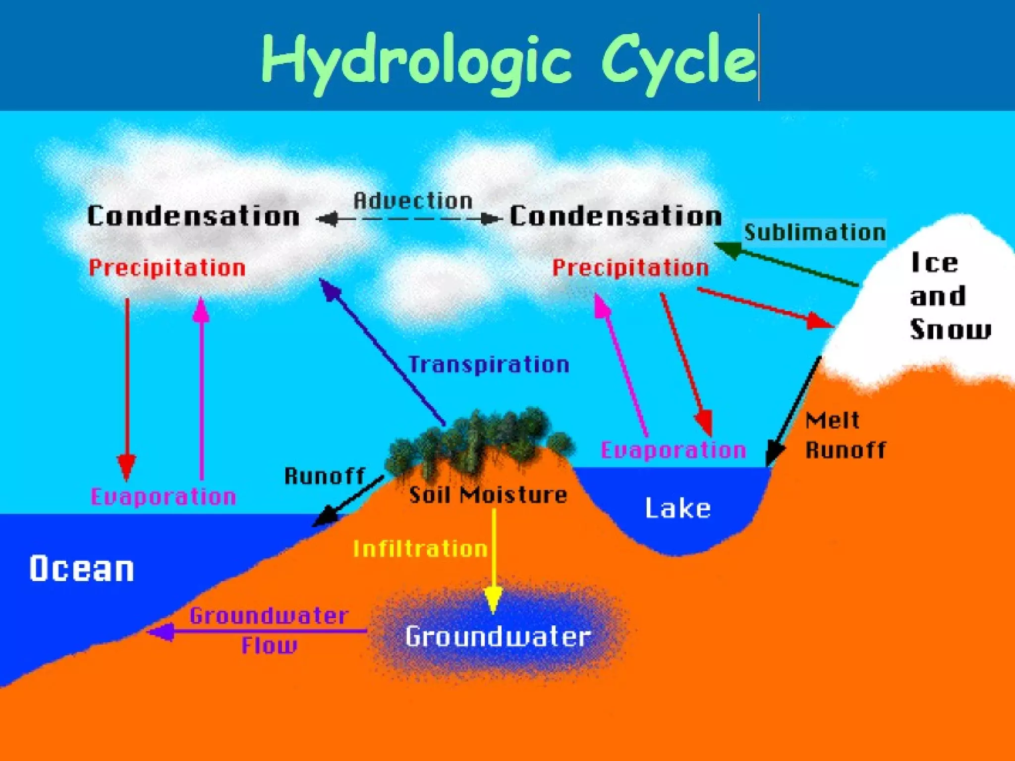 Hydrologic cycle and field water balance | PPT