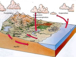 Hydrologic cycle and field water balance | PPT