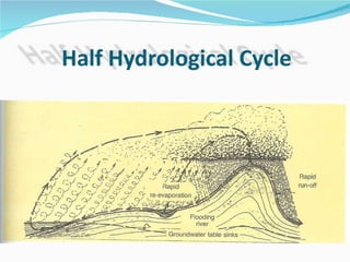 Full and Half Hydrological Cycle | PPT