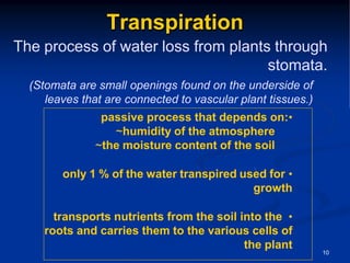 Hydrological-Cycle.pptx