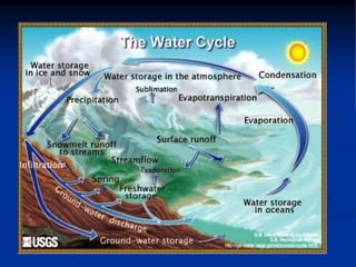 Hydrological-Cycle.pptx