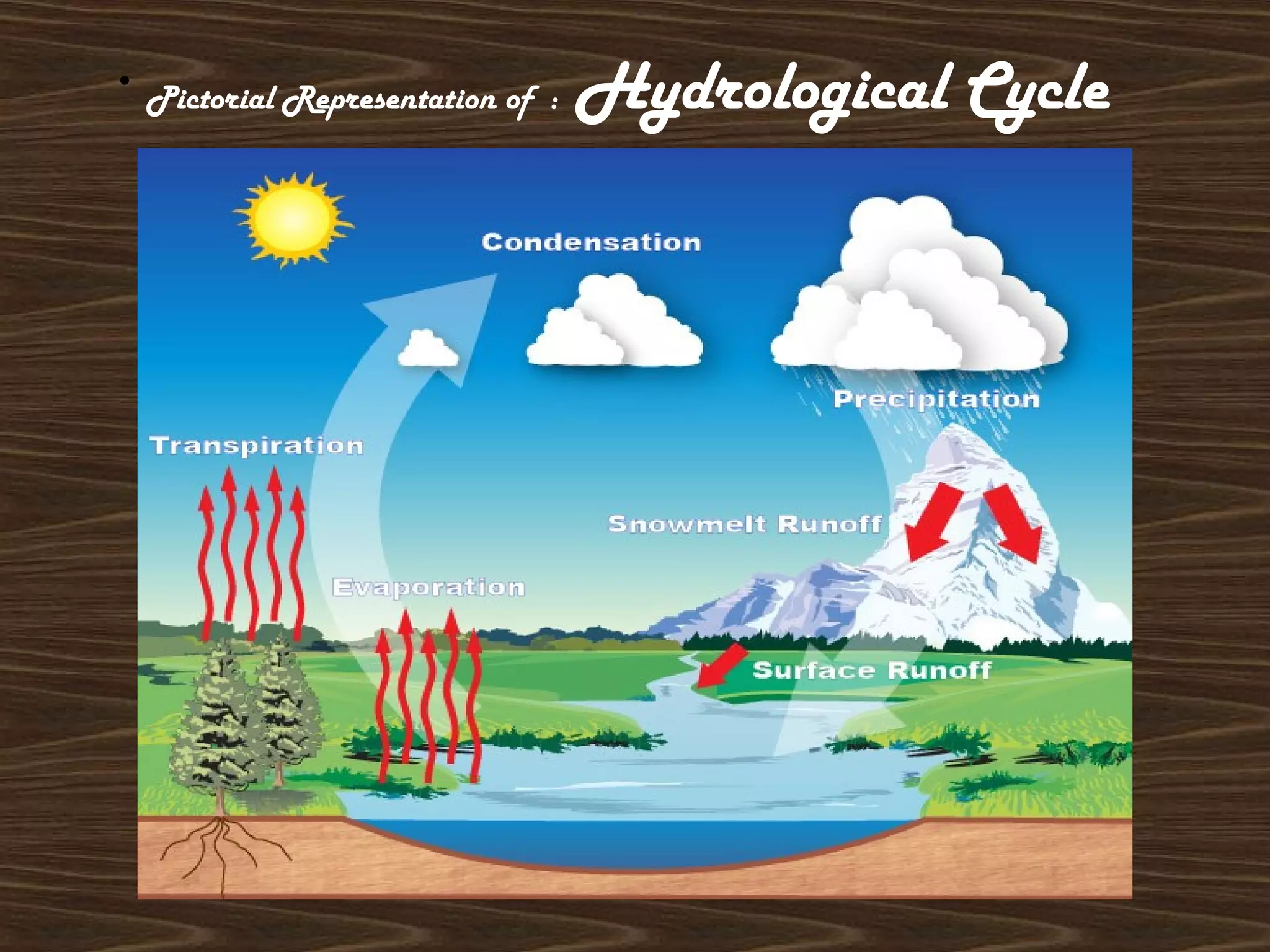 Hydrological cycle | PPT