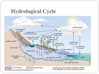 Hydrological cycle | PPT