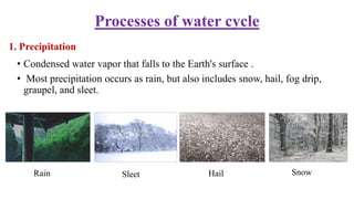 Hydrological cycle | PPTX