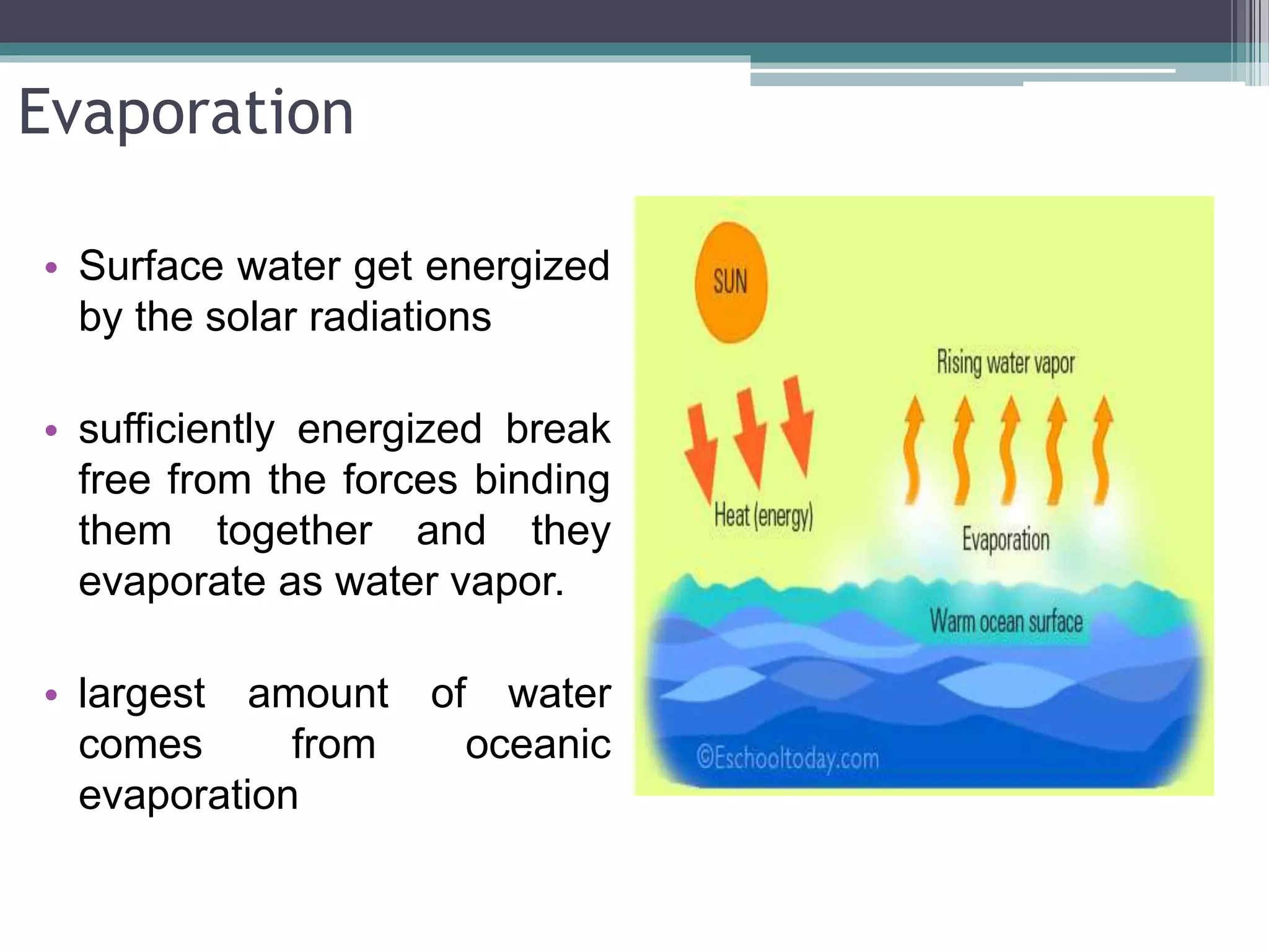 Hydrological cycle and its components | PPTX