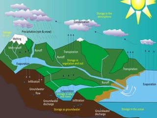 Hydrological cycle and its components | PPTX