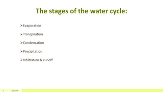 The Hydrological cycle | PPTX