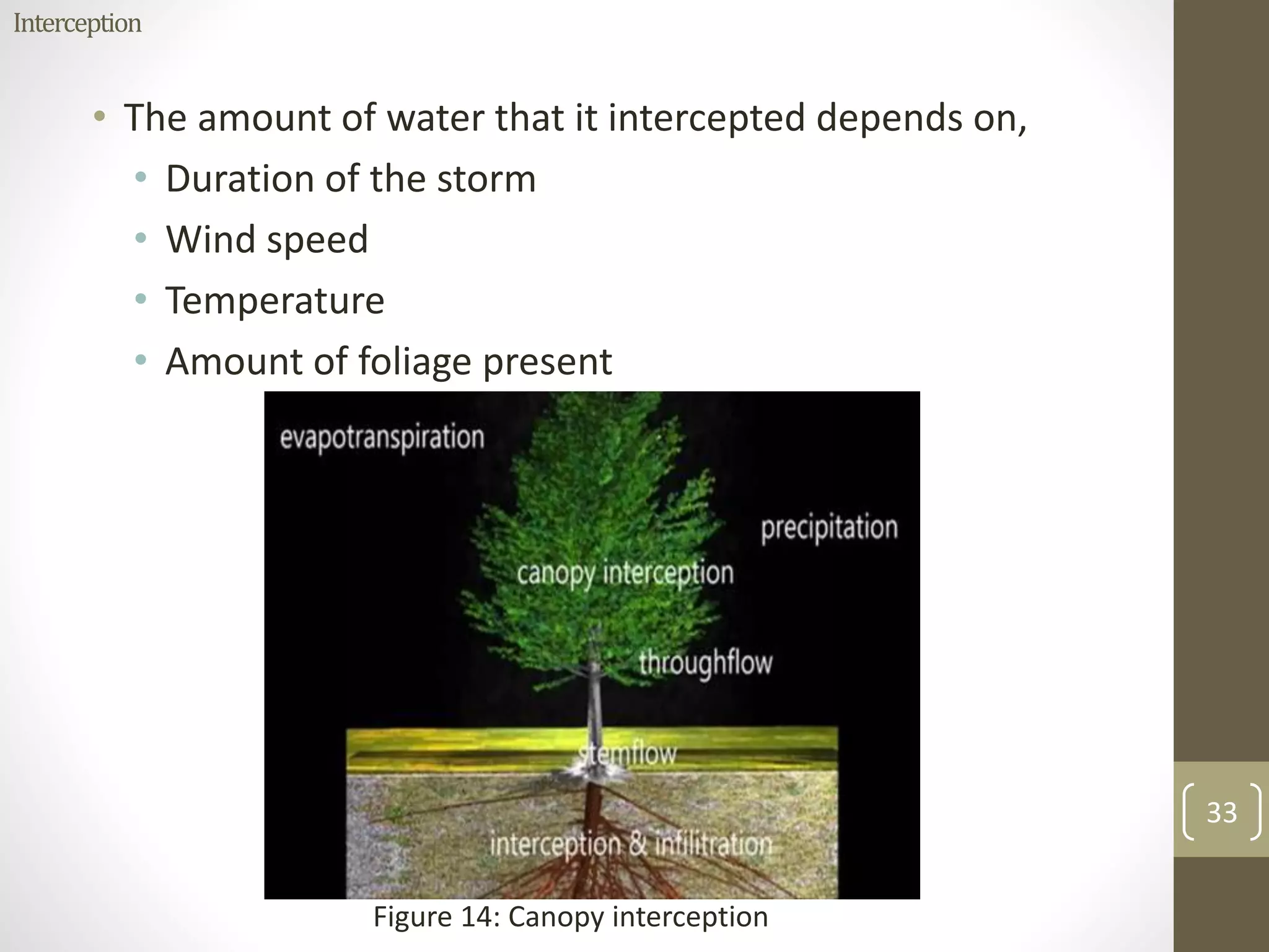 Hydrologic cycle | PPTX