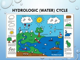 HydrologicCycle.ppuffjincxnjkkch ncchjghgt | PPT