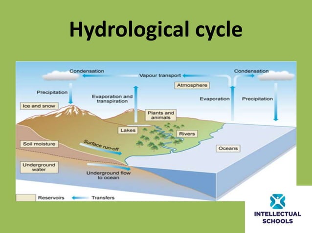 Hydrology and Fluvial Geo morphology for CAMBRIDGE AS level | PPTX ...