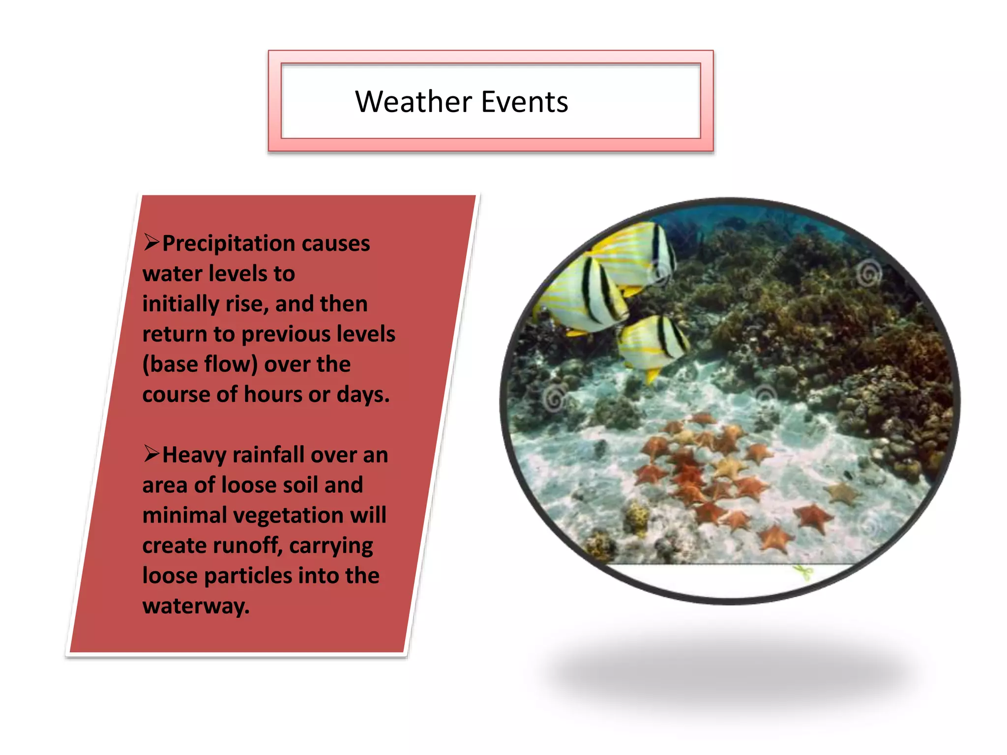 sediments transportation hydrology | PPTX