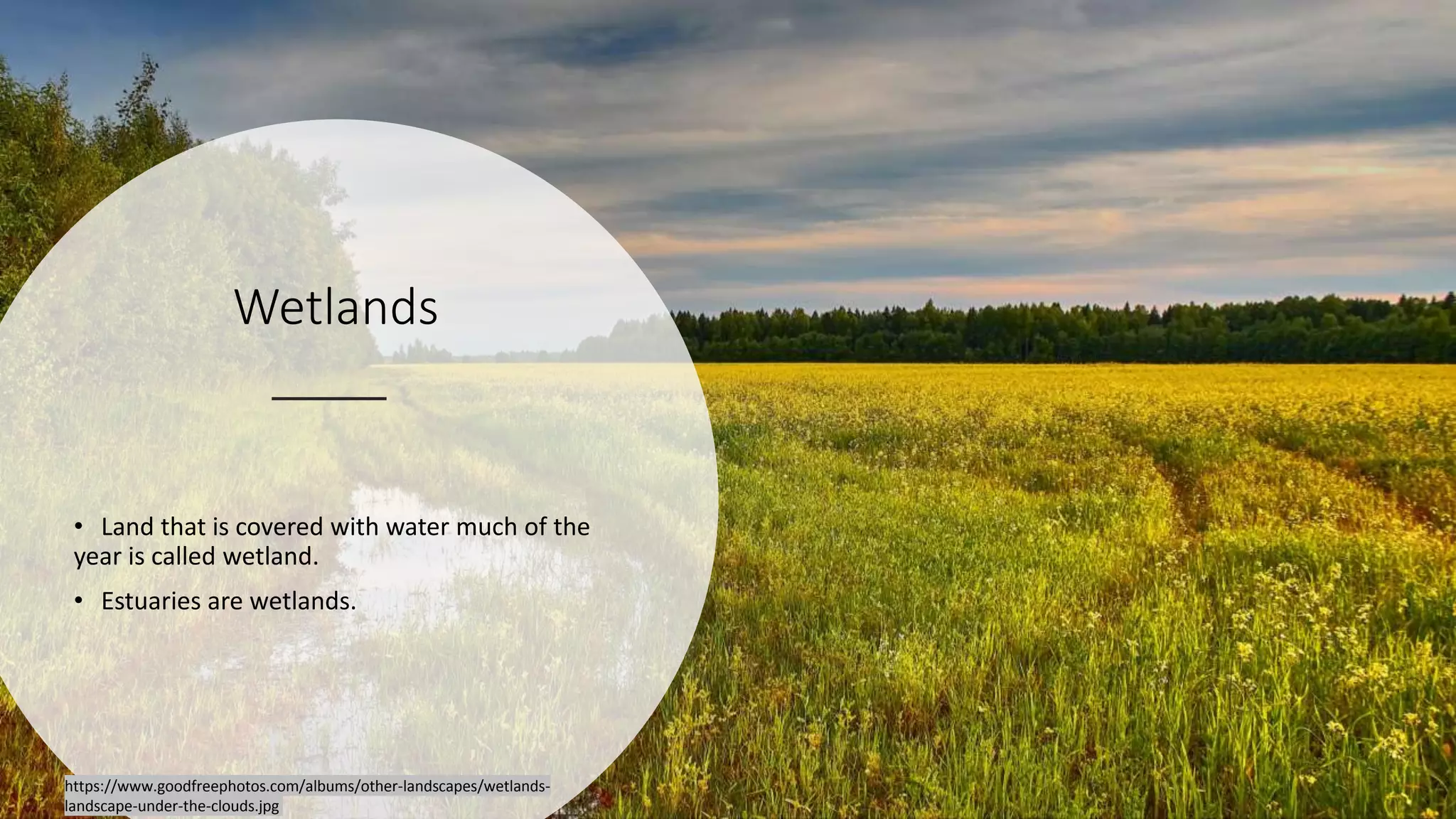 Hydrology presentation | PPT