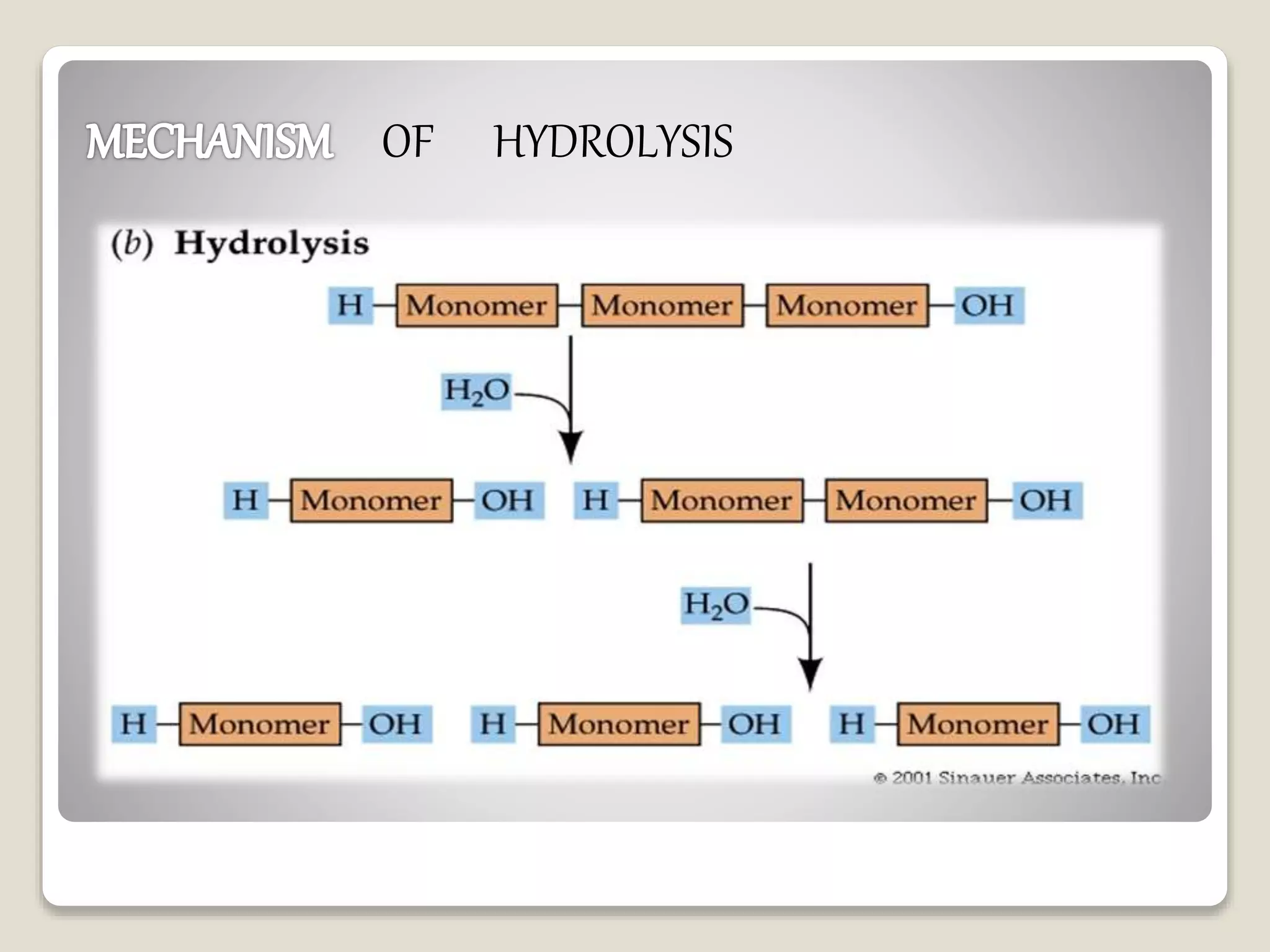 Hydrolysis | PPTX