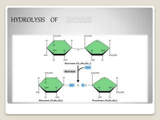Hydrolysis | PPTX