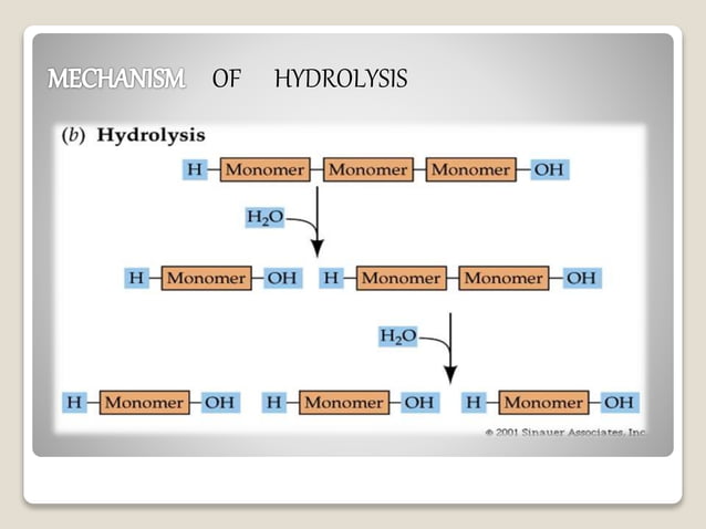 Hydrolysis | PPTX